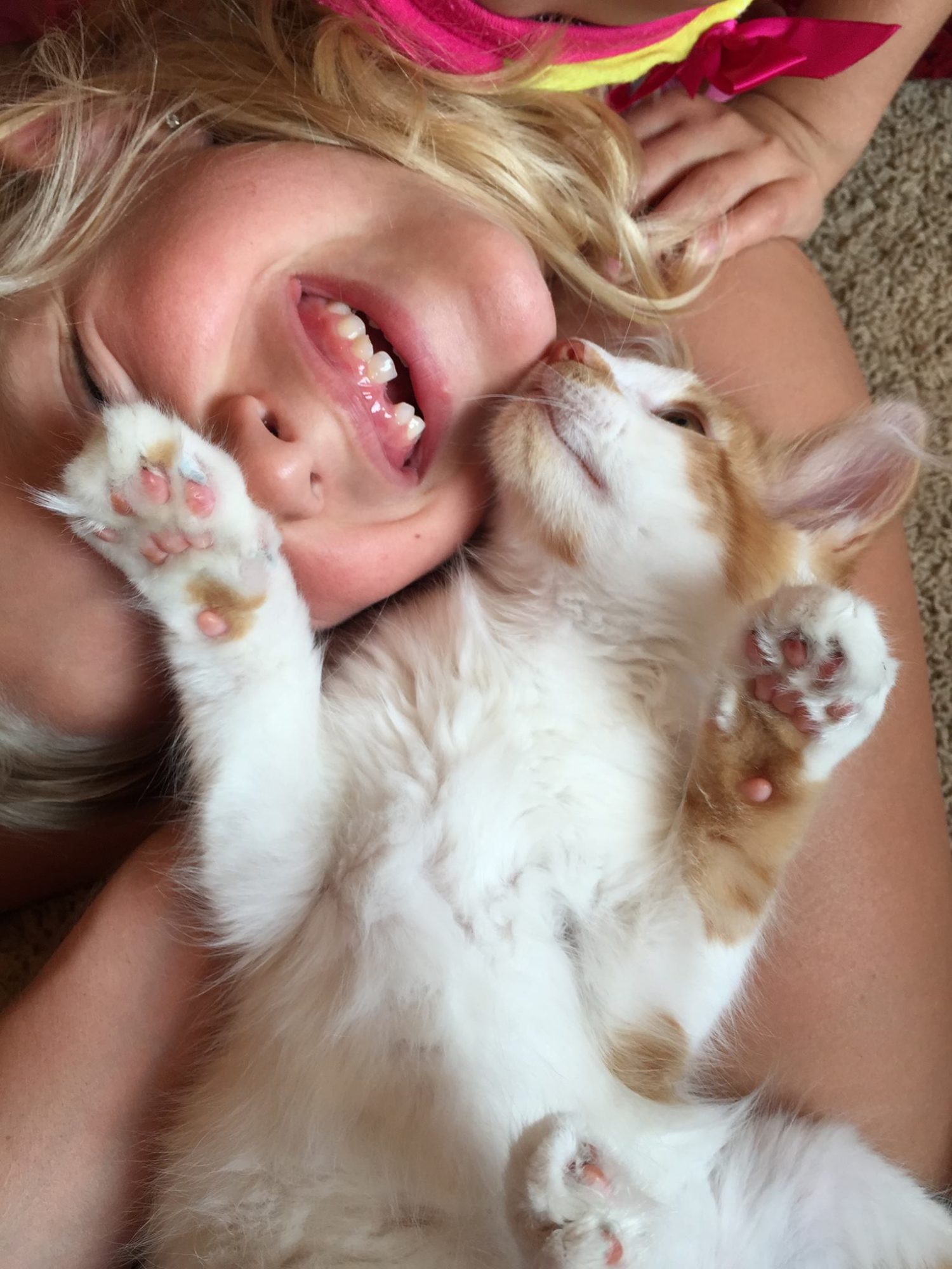 Pets & Children: How to Properly Interact With One Another | South Des ...